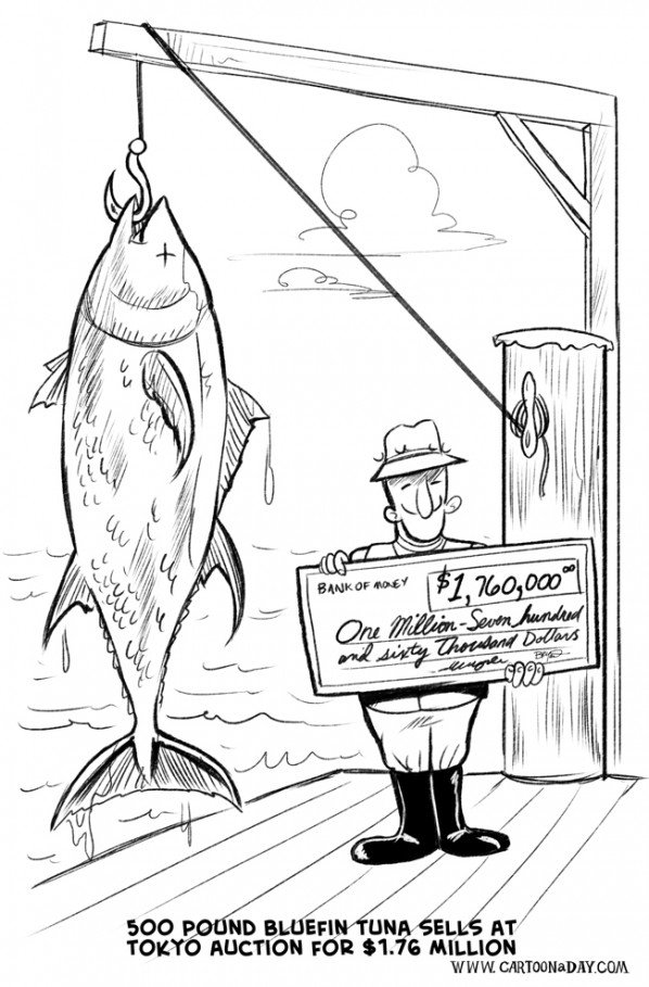 Bluefin Tuna Sells for $1.76 Million Dollars Cartoon Bluefin Tuna Sells for $1.76 Million Dollars Cartoon